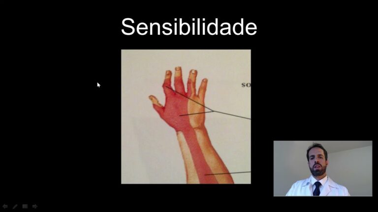Nervo Lesado: Causas, Sintomas e Tratamentos | Actualizado diciembre 2025
