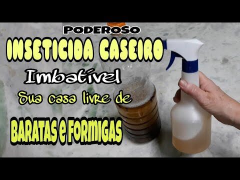 O Poderoso Veneno para Baratas: Guia de Eliminação Eficaz | Actualizado ...