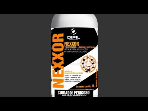 Guia Prático: Como Usar o Nexxor Eficazmente | Actualizado diciembre 2025