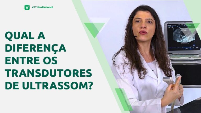 Guia dos Tipos de Transdutores Ultrassom | Actualizado diciembre 2025