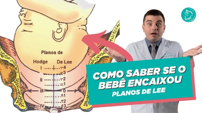 Classificação de Lee: Guia Rápido e Eficiente | Actualizado diciembre 2025