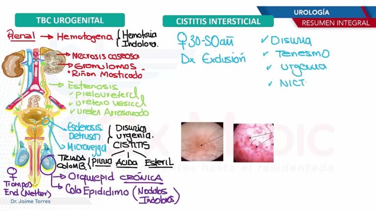 Benefícios da Suplementação de Ferro via Hematógena | Actualizado ...
