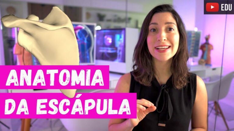 Anatomia e Função da Fossa Subescapular | Actualizado diciembre 2025