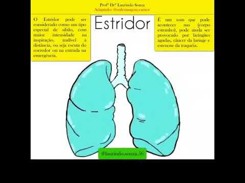 Entendendo o Estridor Respiratório | Actualizado julio 2025