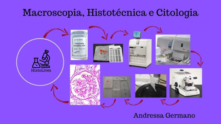 Macroscopia versus Biopsia: Comparação e Importância na Patologia ...