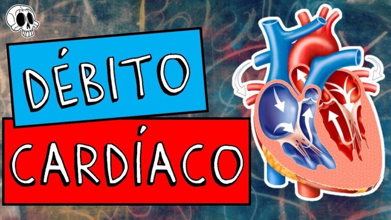 Entendendo o Débito Cardíaco: Conceitos e Importância | Actualizado ...
